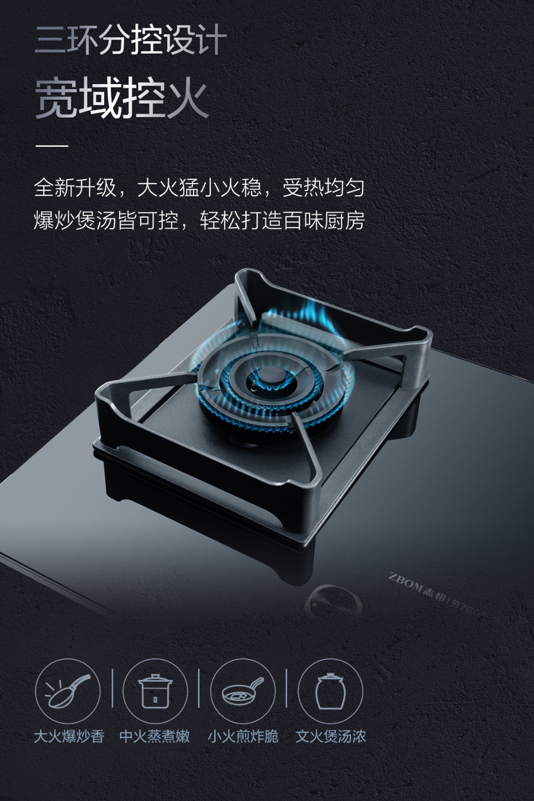 JZ(T/Y)-B7605 双眼钢化玻璃灶 - 厨房电器详情-志邦家居